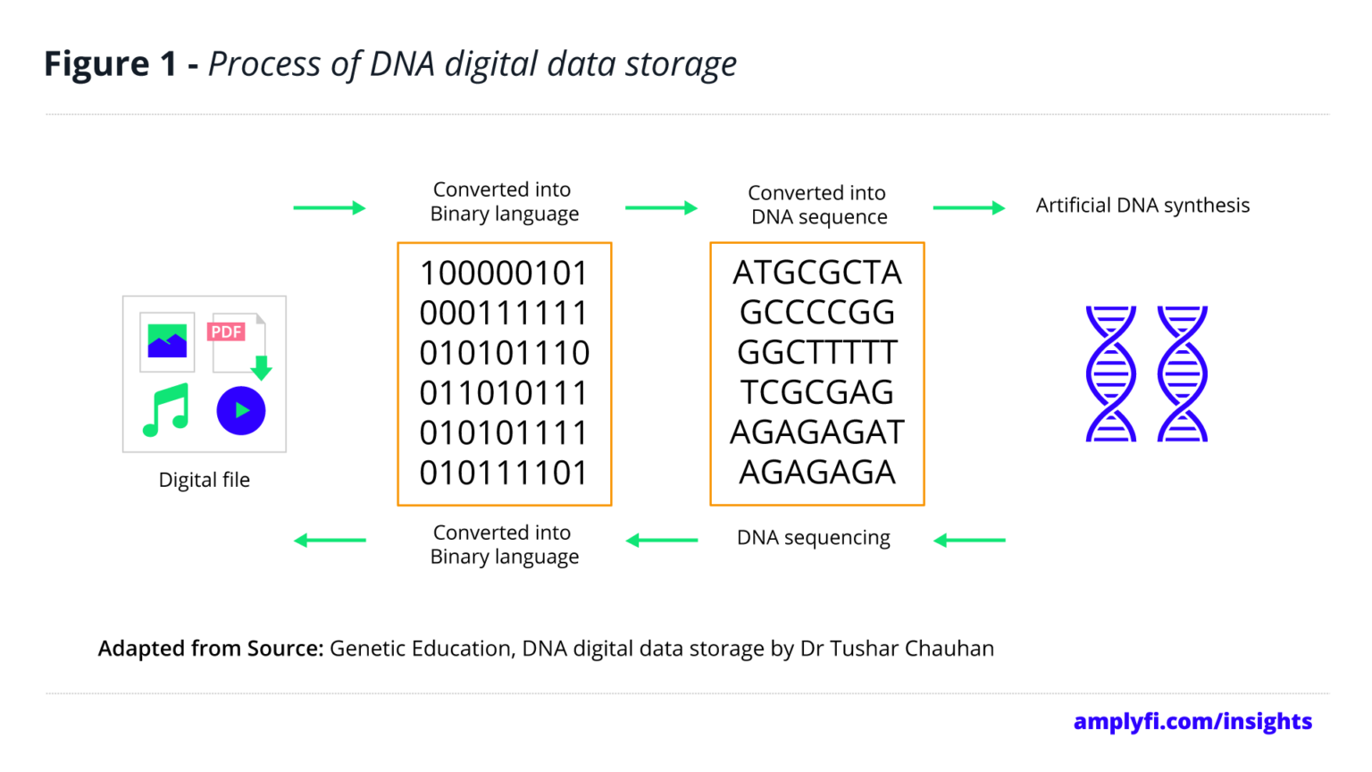 Future of Info Storage: DNA's Use for Storing Data - AMPLYFI